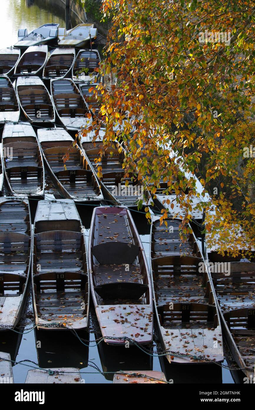 Oxford, England - 10 October 2019; A tranquil scene by Magdalen Bridge ...