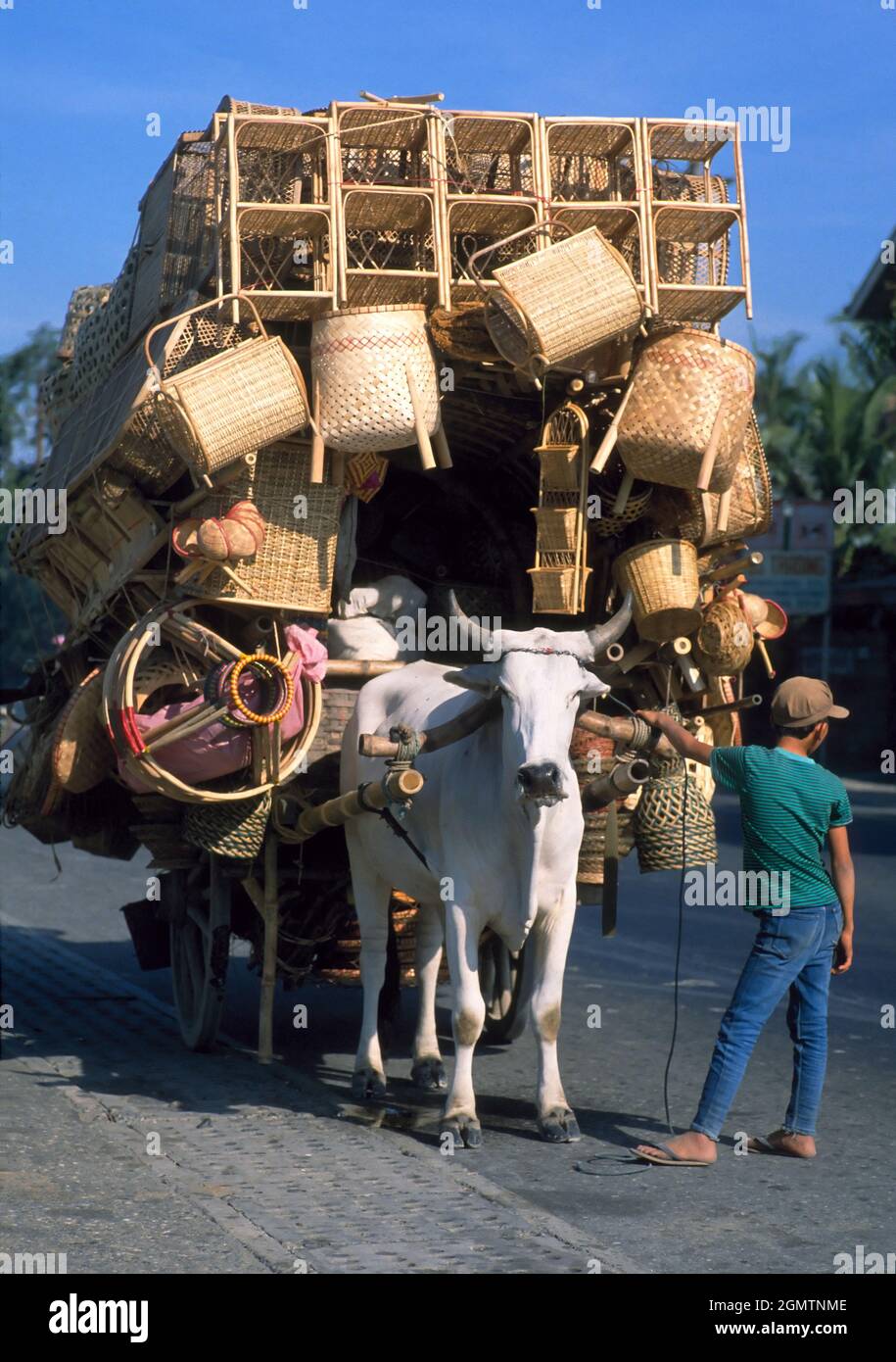 Banaue, Philippines - February 1986; Gee- that sure is a lot of rattan ...
