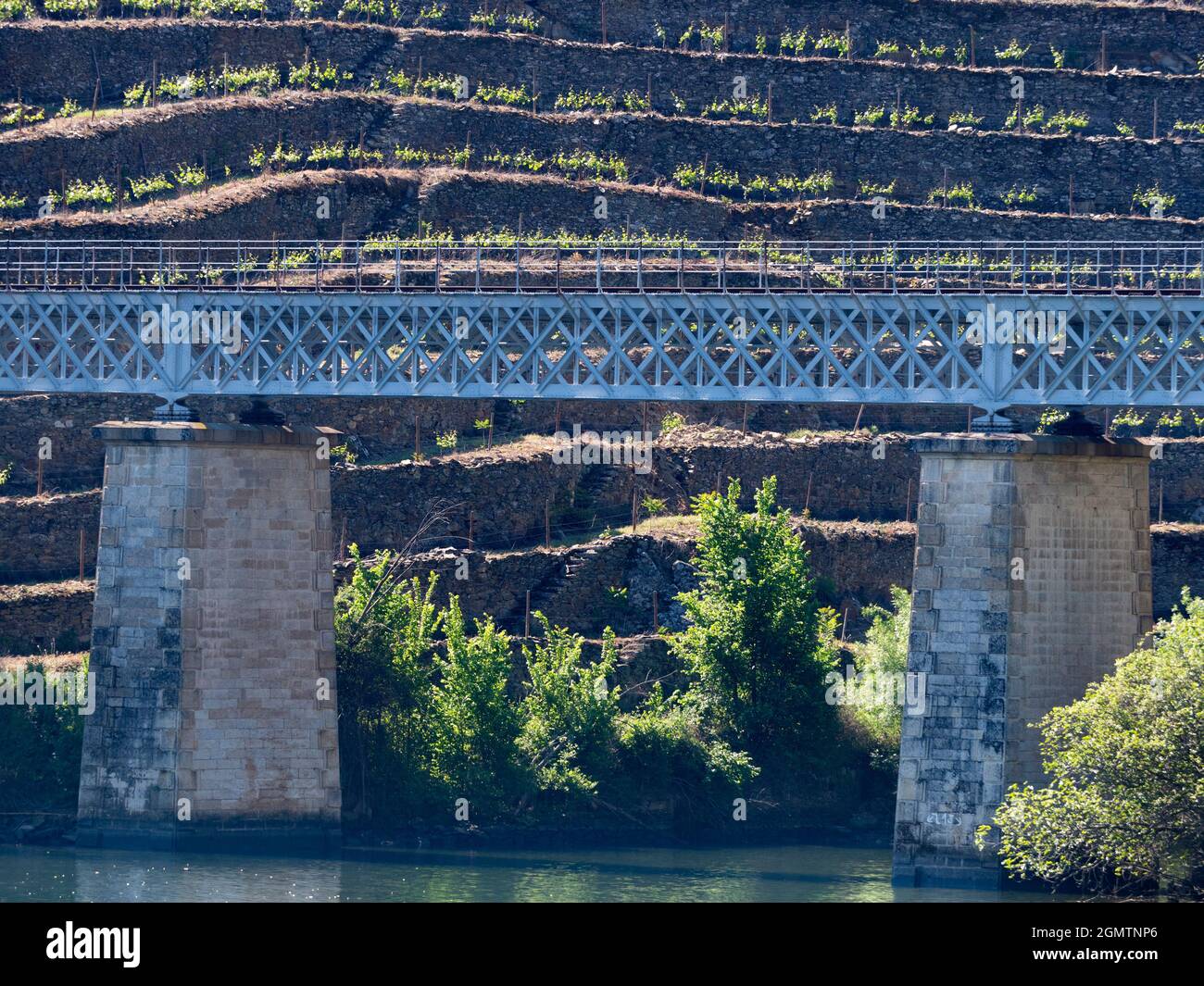 The scenic Douro Valley, which runs from the Atlantic coast at Porto ...