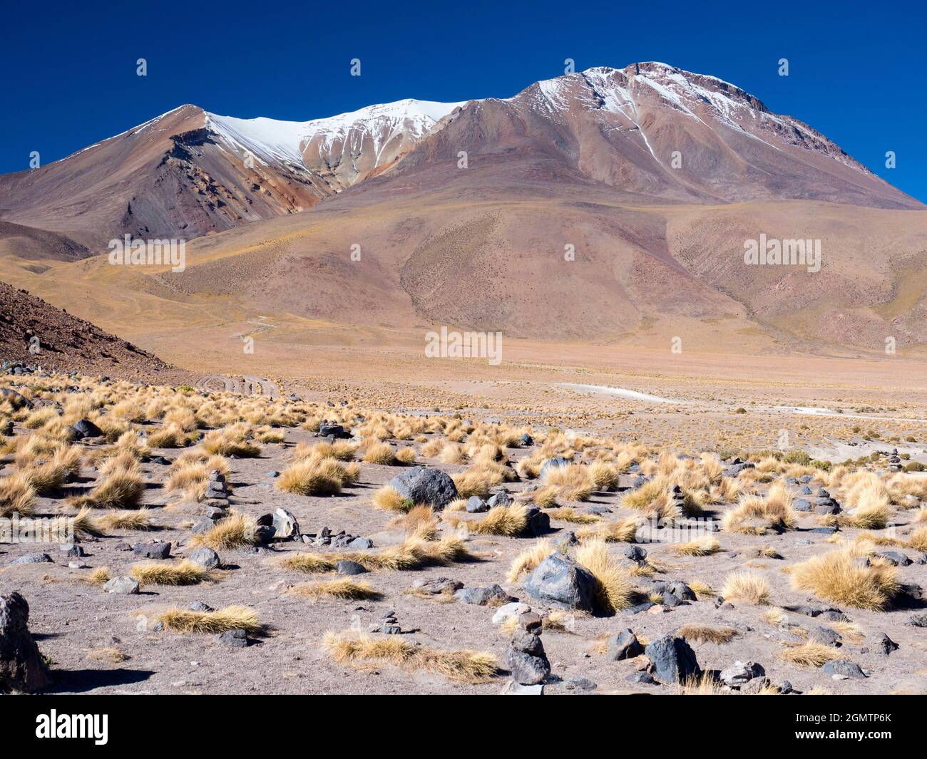 Potosi , Bolivia - 24 May 2018 Laguna Ca–apa is a pretty salt high up ...