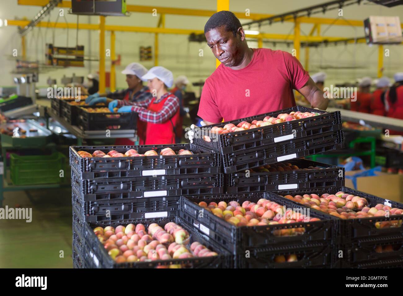 Nice african american male loader carrying box with fresh peaches at ...