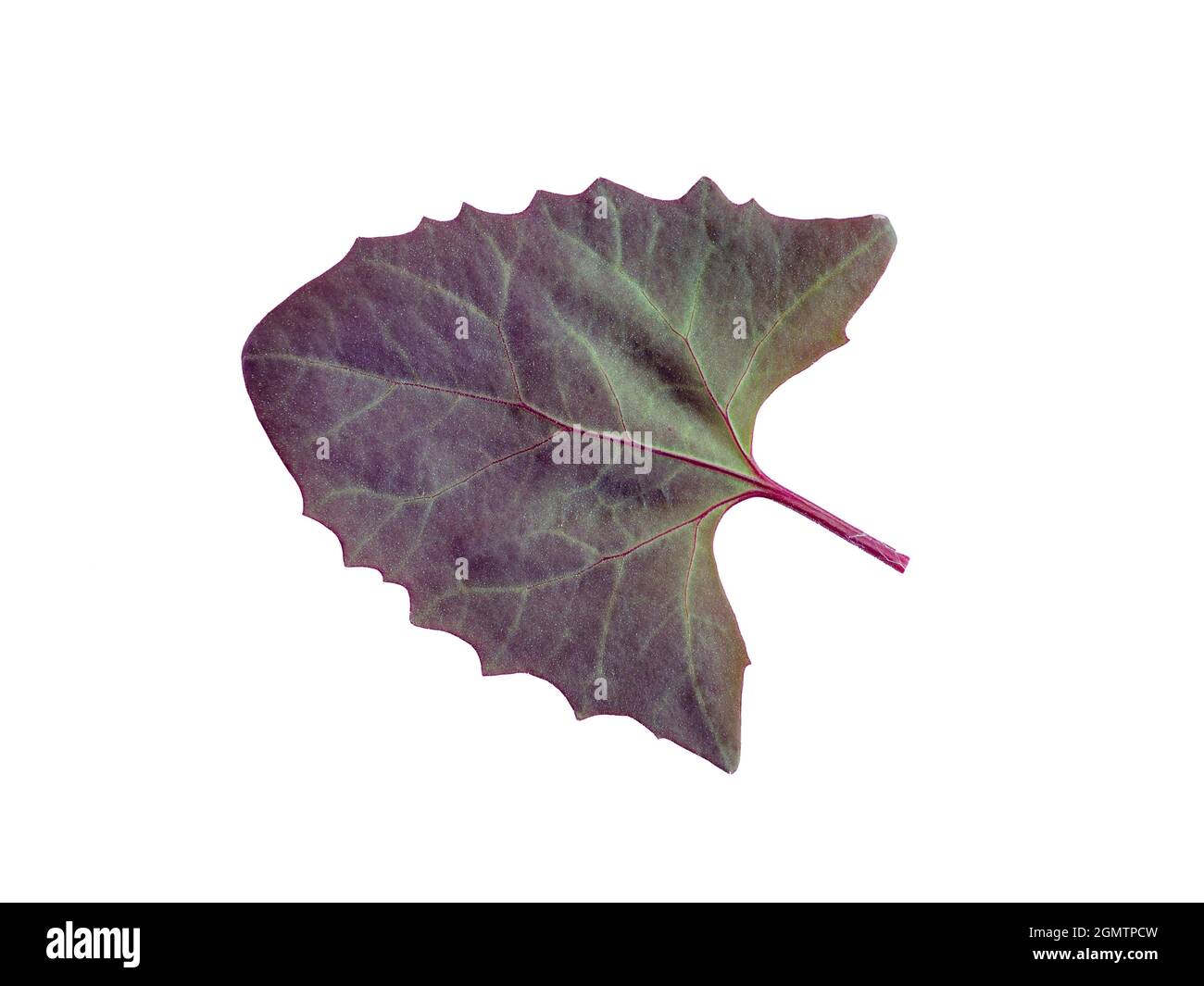 Top view modern creative Cut Out Stock Images & Pictures - Alamy