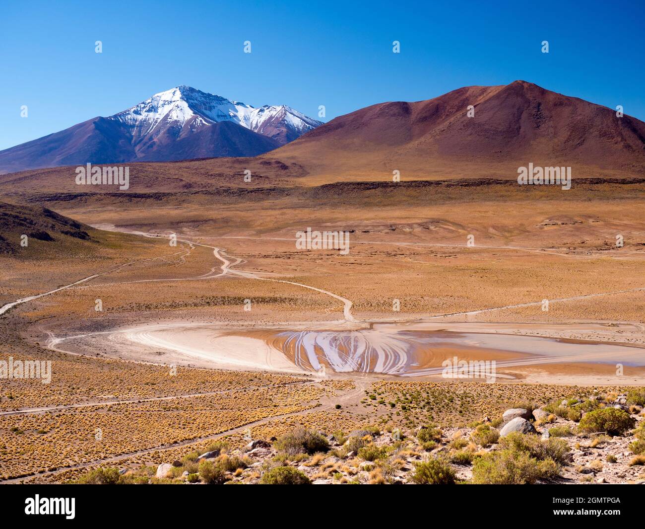 Bolivian Altiplano - 24 May 2018 The Bolivian Altiplano is a harsh ...