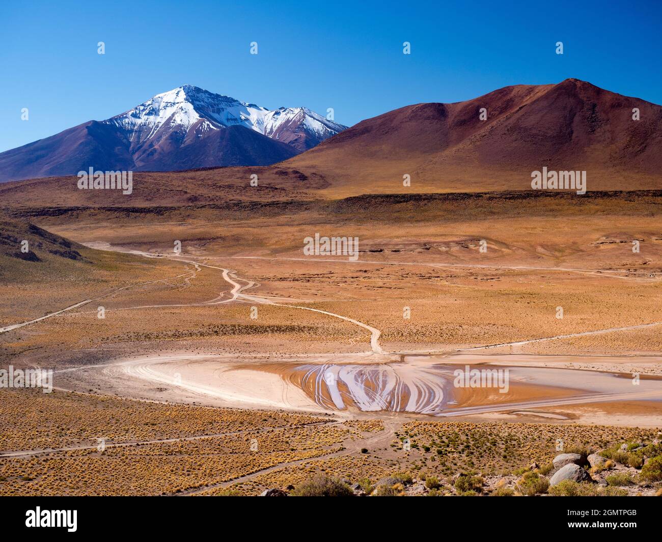 Bolivian Altiplano - 24 May 2018 The Bolivian Altiplano is a harsh ...