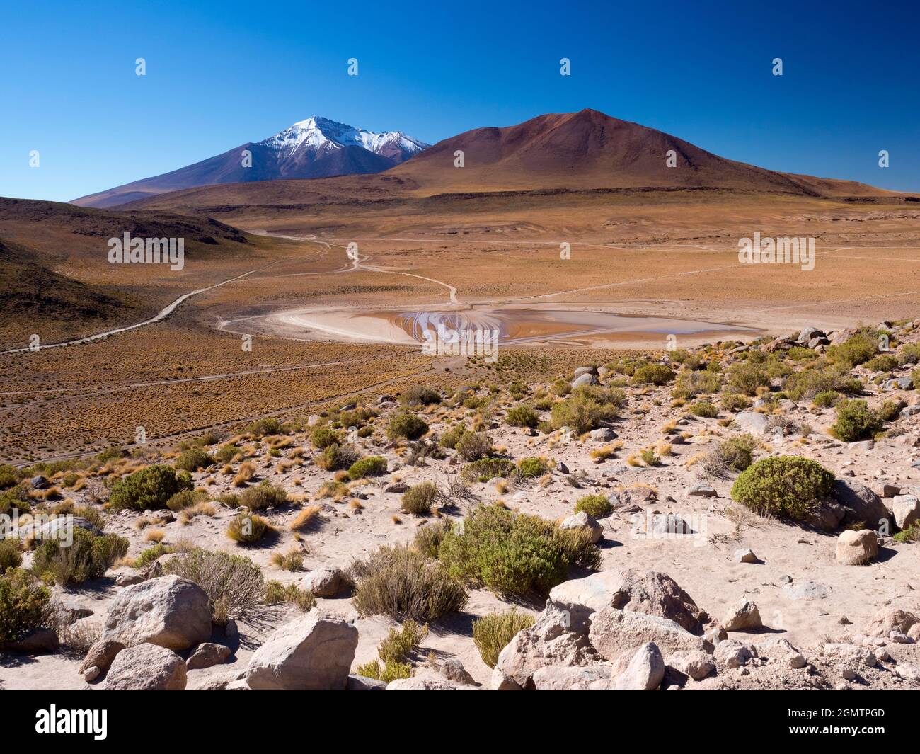 Bolivian Altiplano - 24 May 2018 The Bolivian Altiplano is a harsh ...