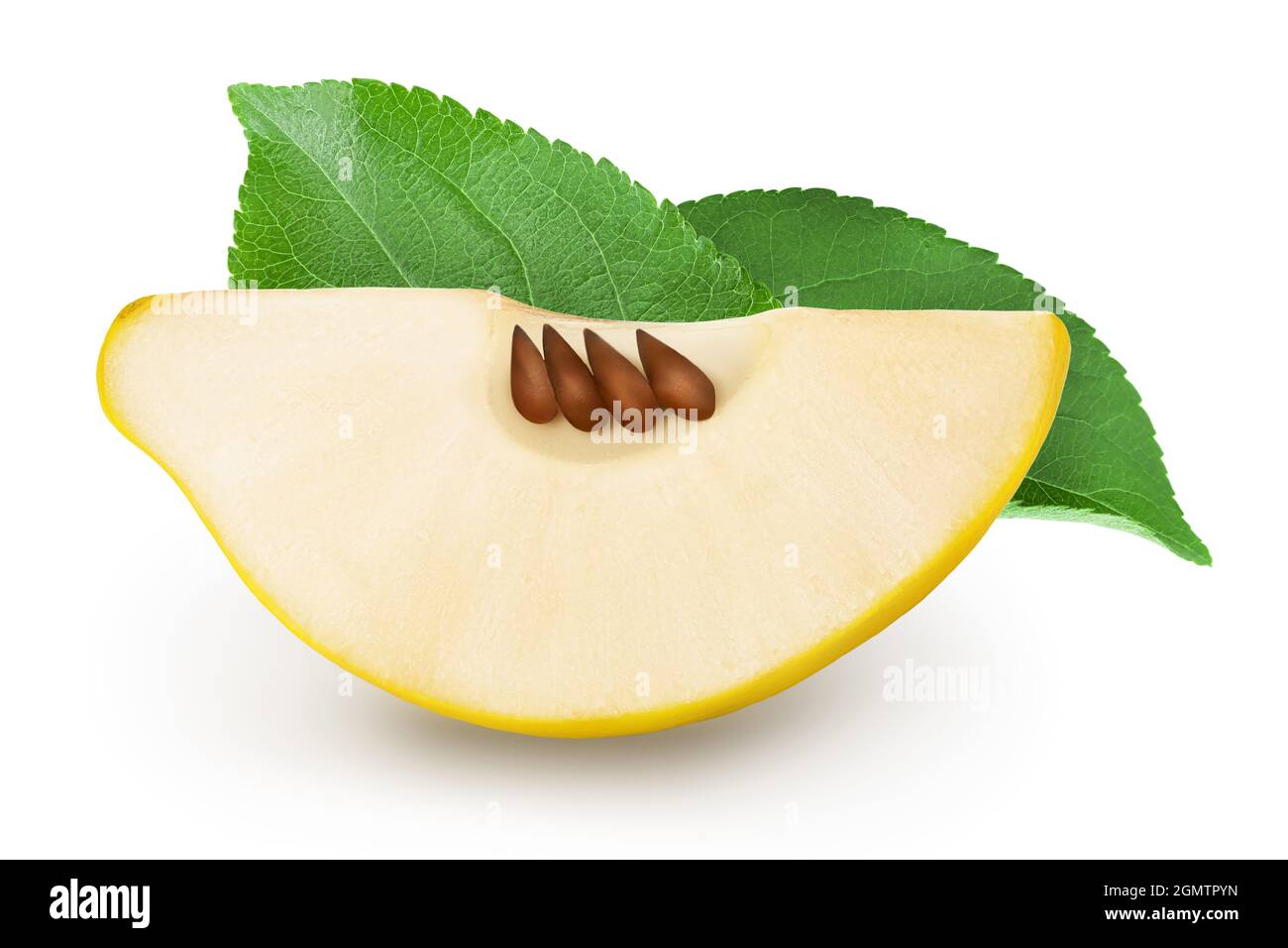 Fresh slice quince isolated on the white background with clipping path ...