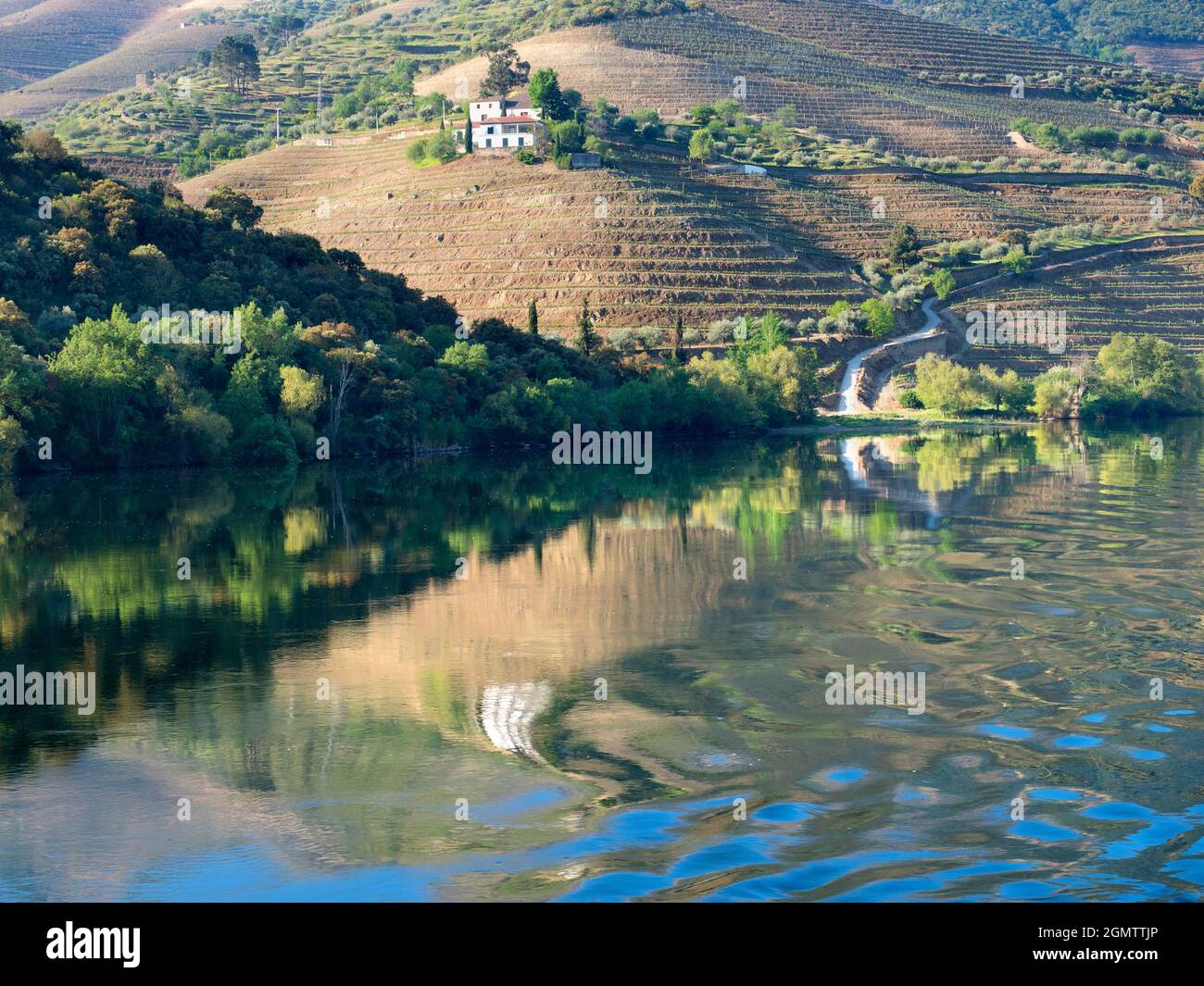 Douro valley portugal 12 hi-res stock photography and images - Alamy