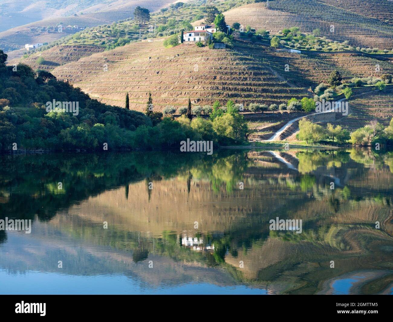 The scenic Douro Valley, which runs from the Atlantic coast at Porto ...