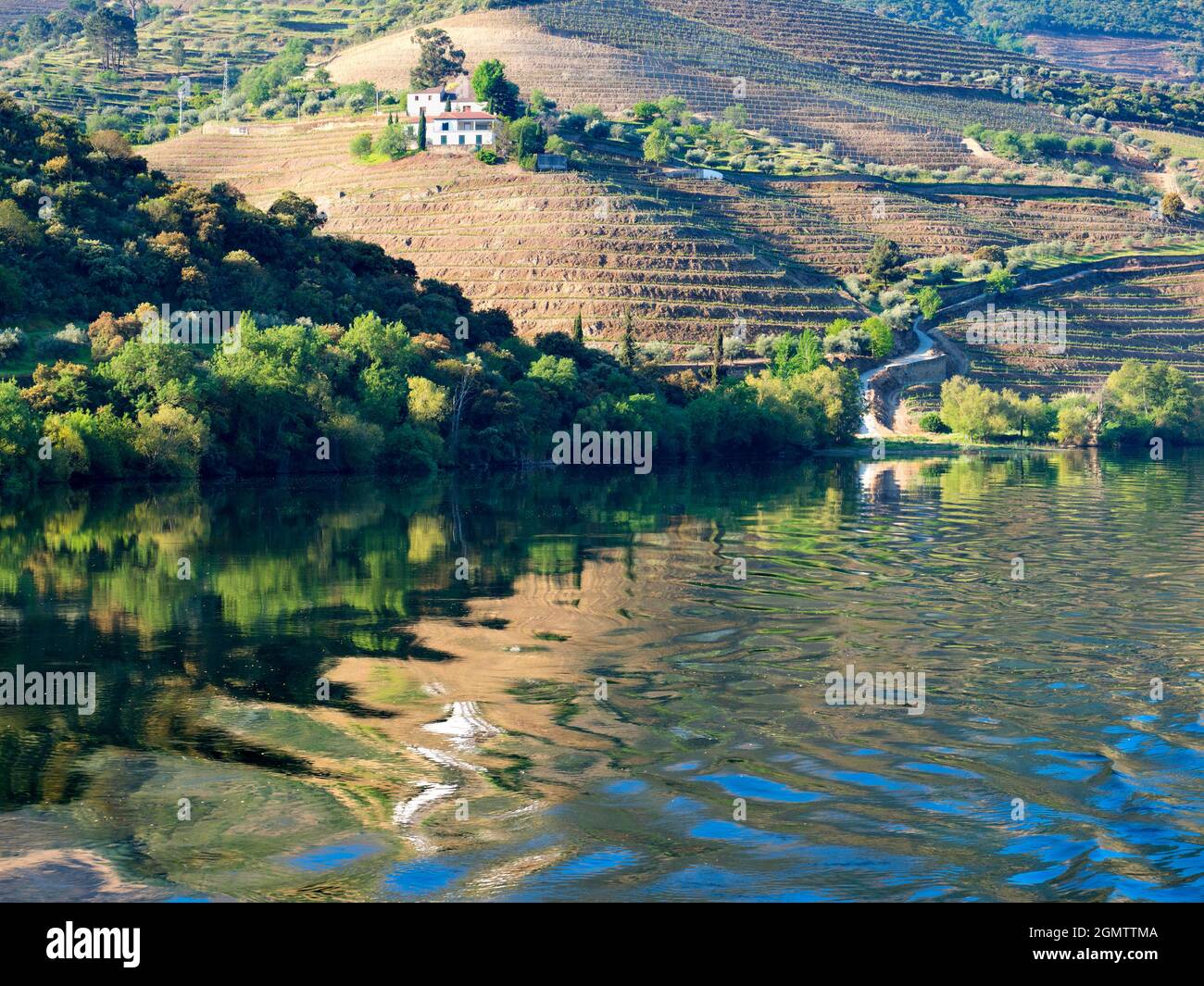 The scenic Douro Valley, which runs from the Atlantic coast at Porto ...
