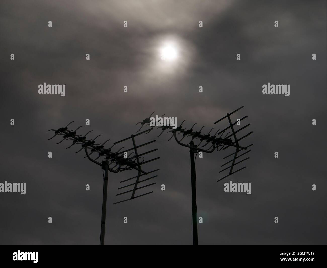 Becoming a rare sight hi-res stock photography and images - Alamy