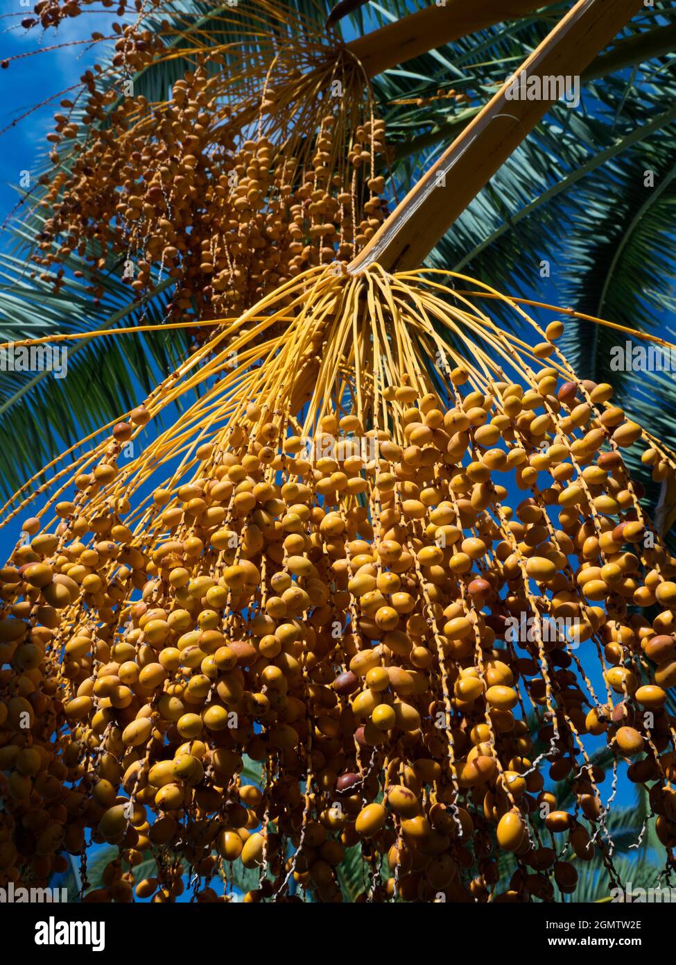 The scenic Douro Valley, which runs from the Atlantic coast at Porto ...