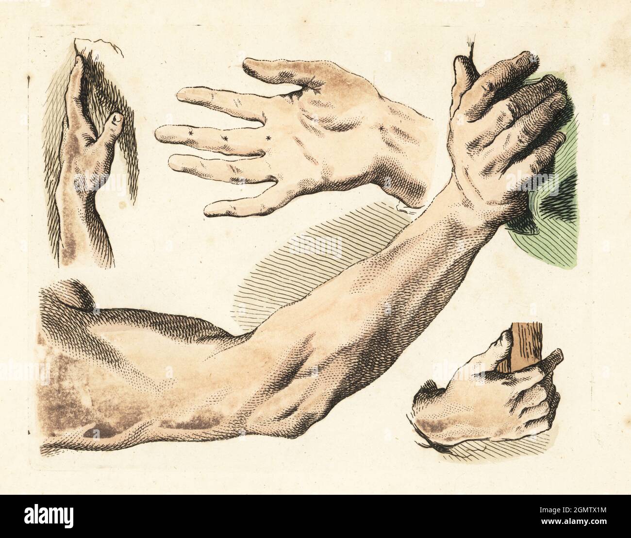 Figures of male fingers, hands, arms, gestures, from paintings by old ...