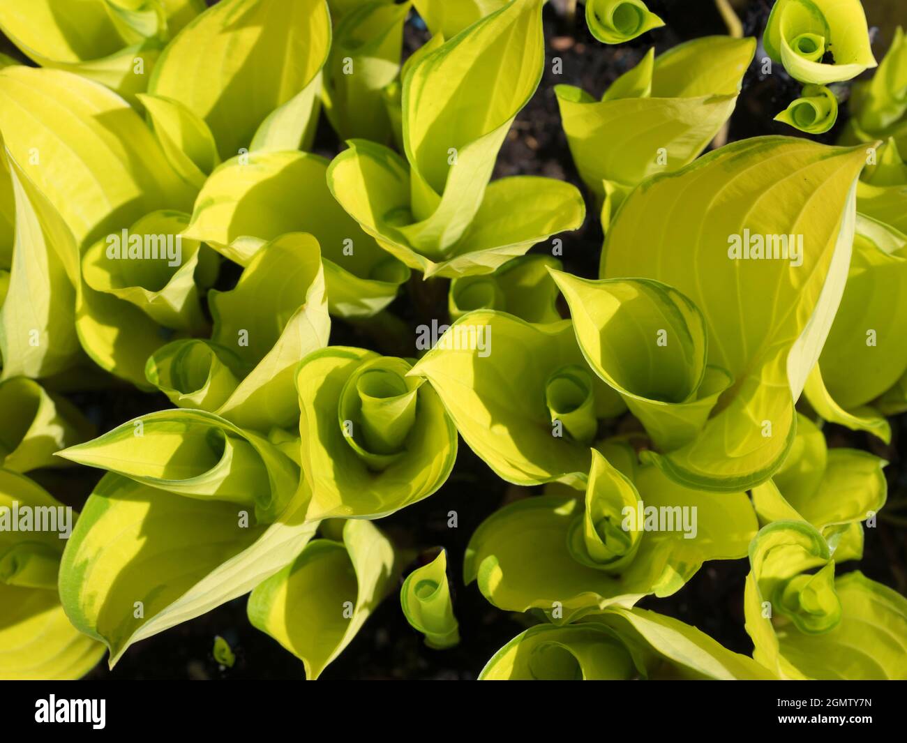 Radley Village, Oxfordshire, UK - 5 March 2021; no people in view. Here ...