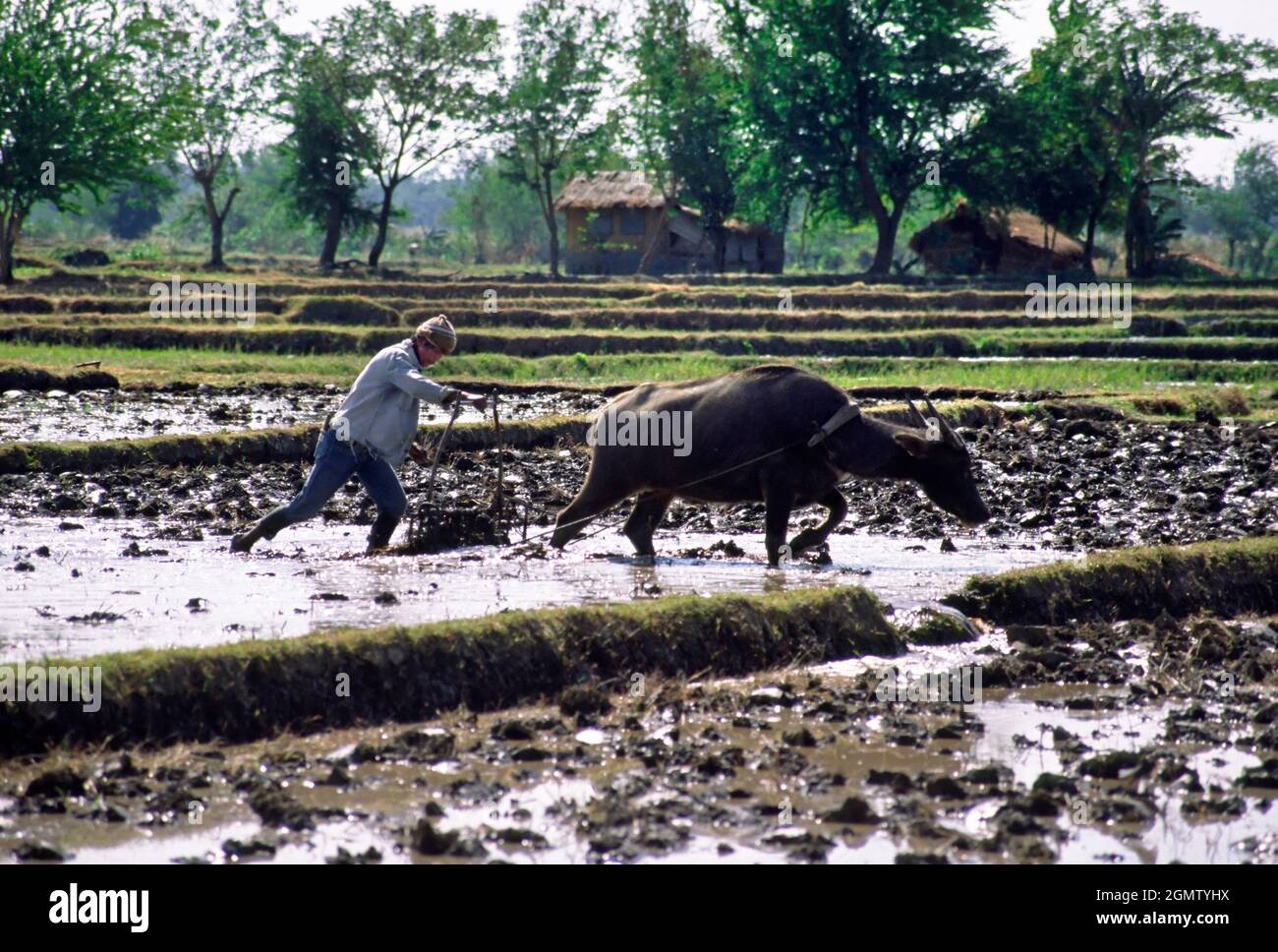 Primitive Subsistence Farming