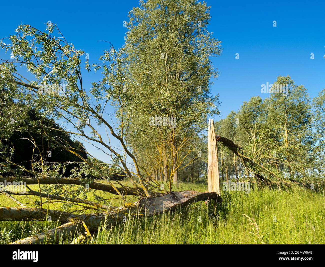 Radley Village, Oxfordshire, England - 19 May 2020; no people in view ...