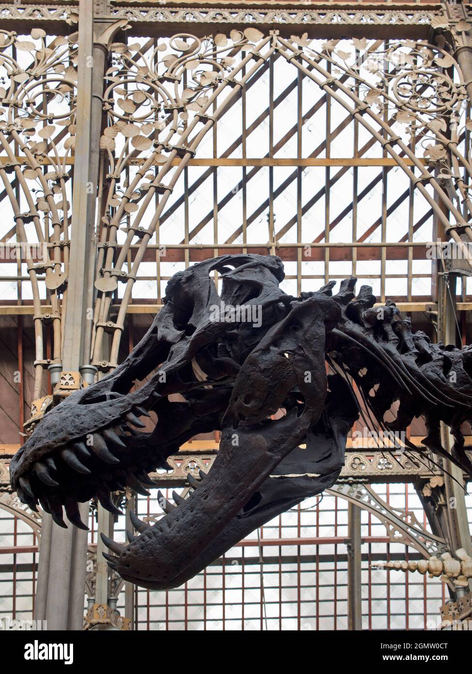 Oxford, England - 2014; The Pitt Rivers Museum is a museum displaying ...