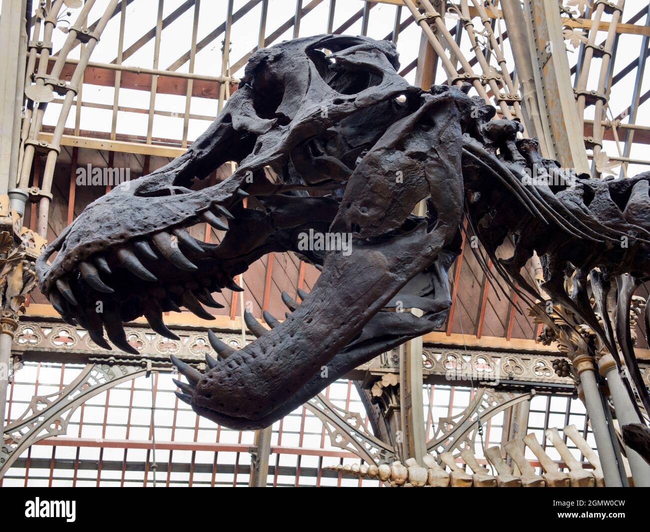 Oxford, England - 2014; The Pitt Rivers Museum is a museum displaying ...