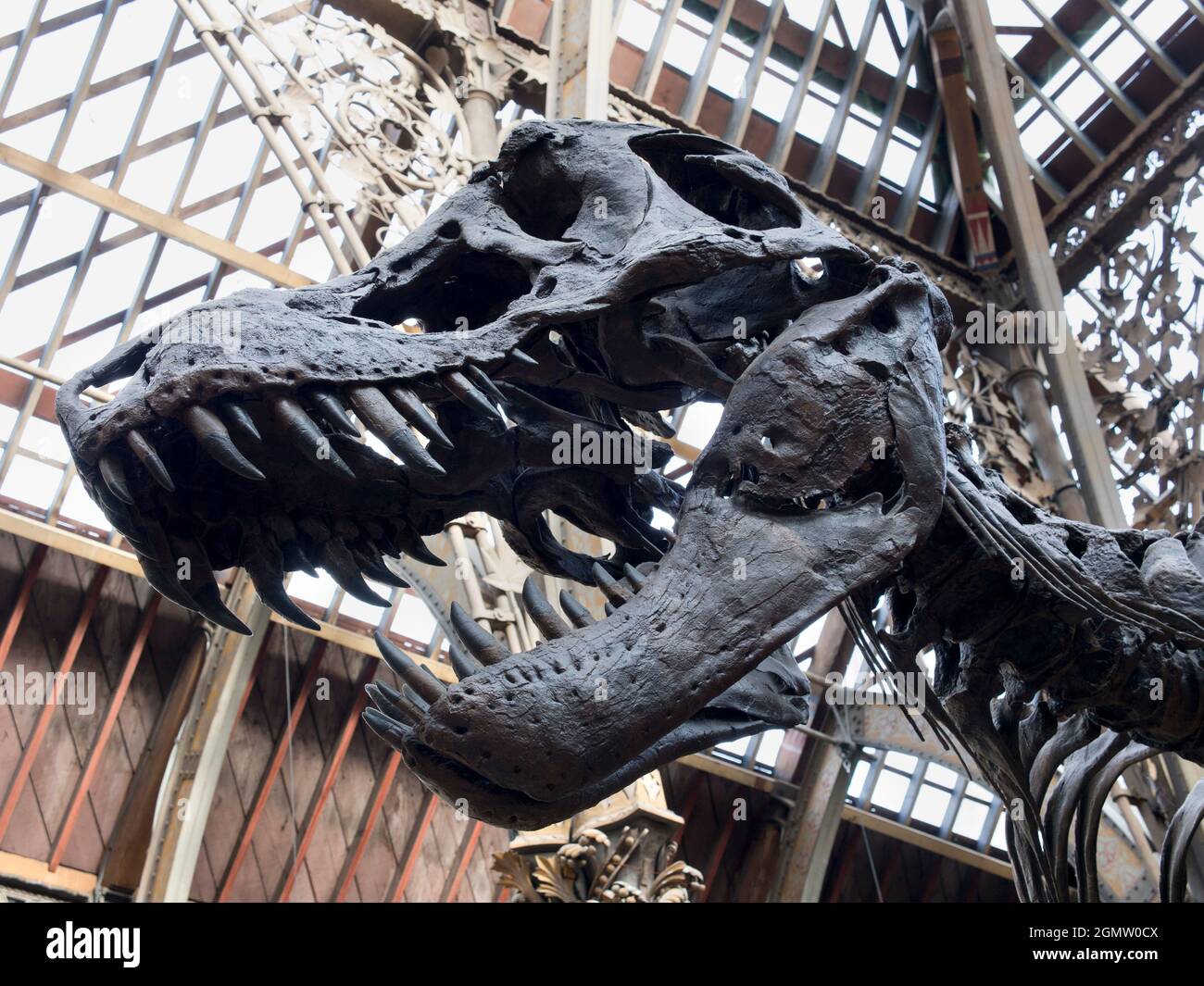 Oxford, England - 2014; The Pitt Rivers Museum is a museum displaying ...