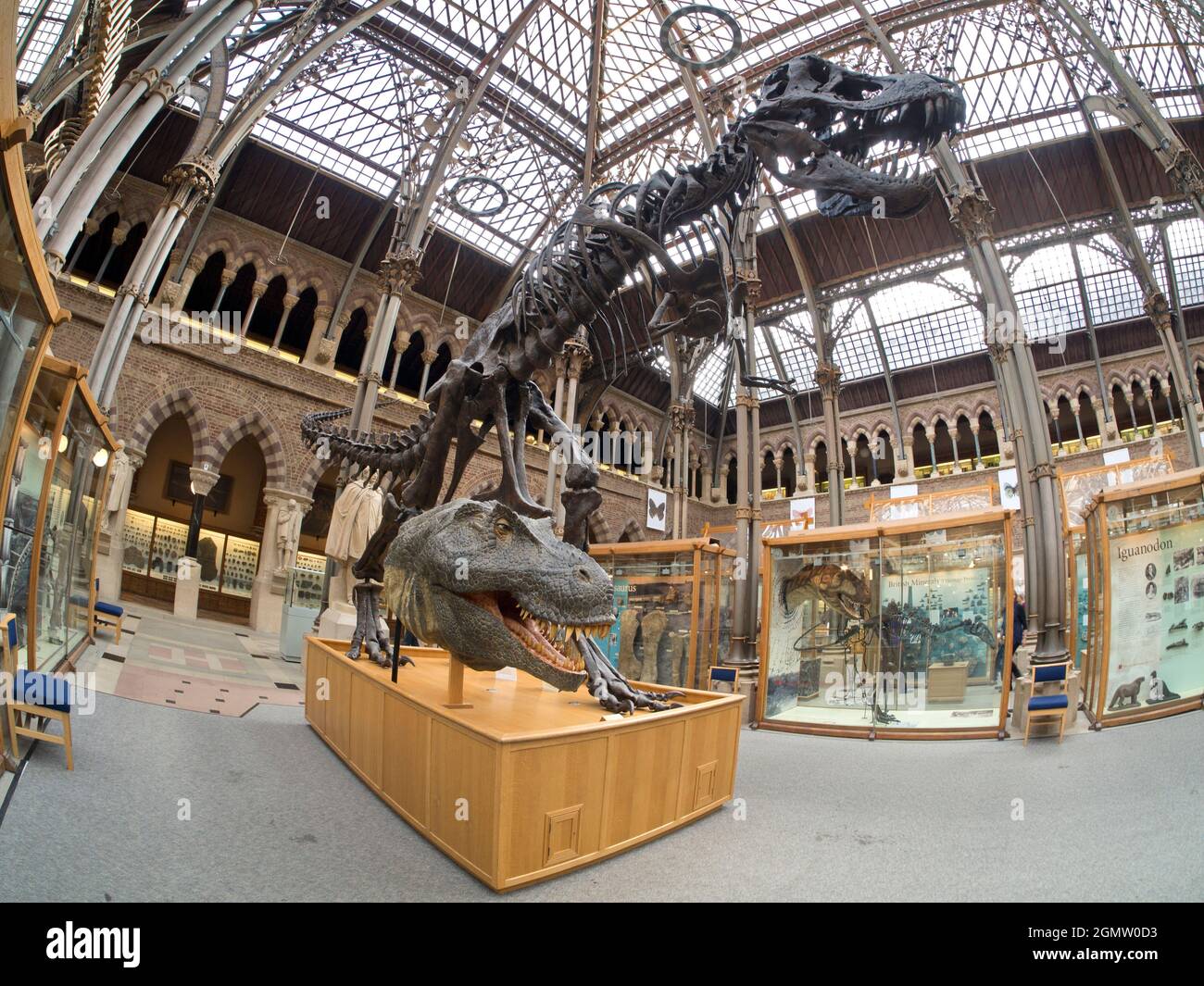 Oxford, England - 2014; The Pitt Rivers Museum is a museum displaying ...