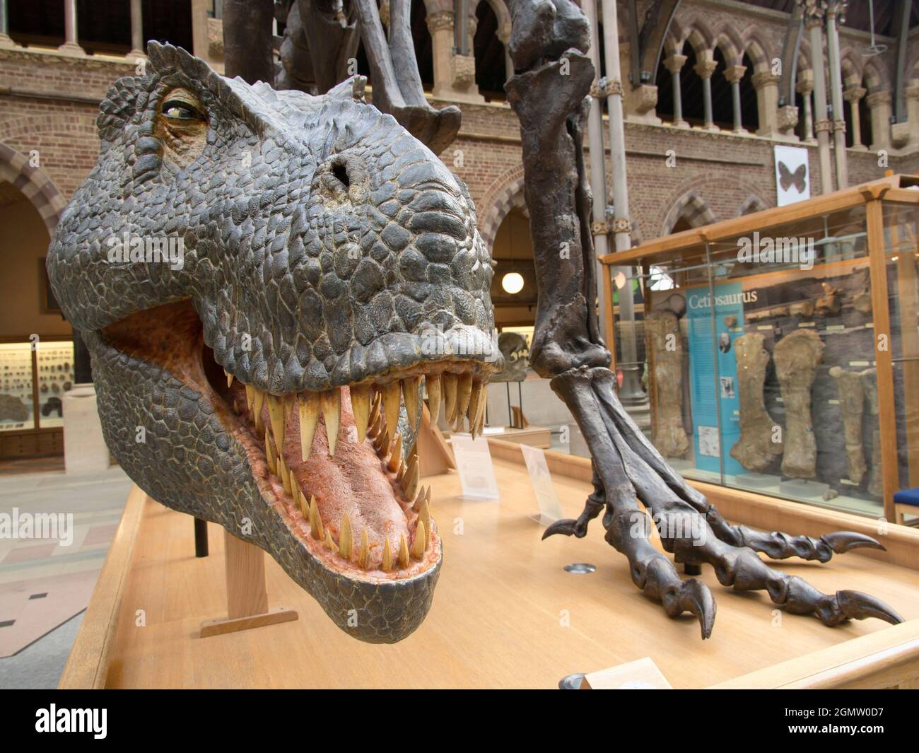 Oxford, England - 2014; The Pitt Rivers Museum is a museum displaying ...