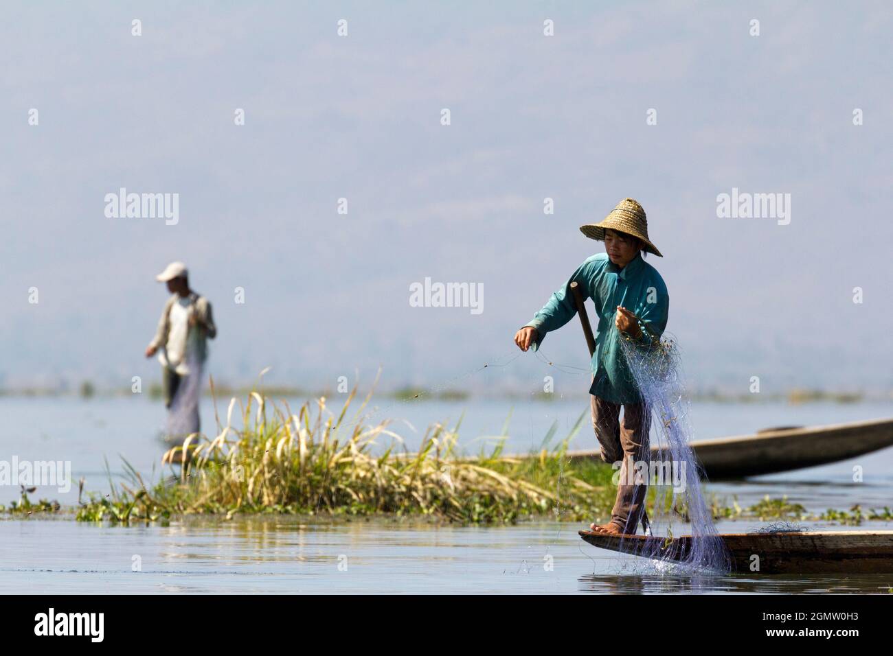 Freshwater fish of myanmar hi-res stock photography and images - Alamy