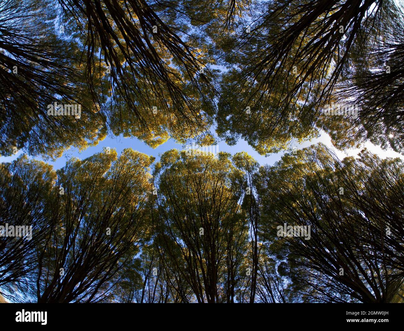 Radley, Oxfordshire, UK - 28 October 2014 This is what you see when you ...