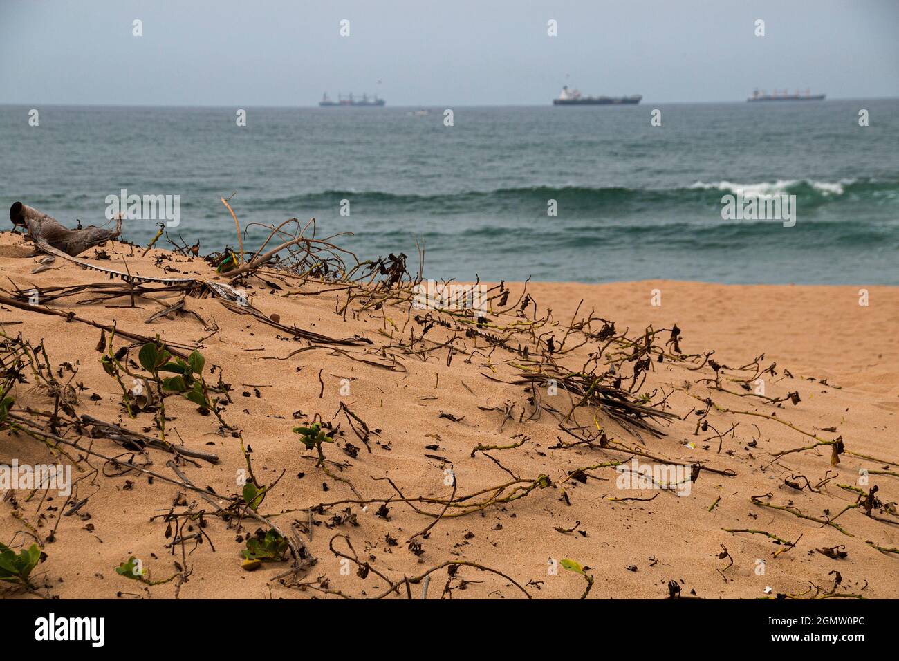 View of ships at sea with vegetation covered sand dunes Stock Photo - Alamy
