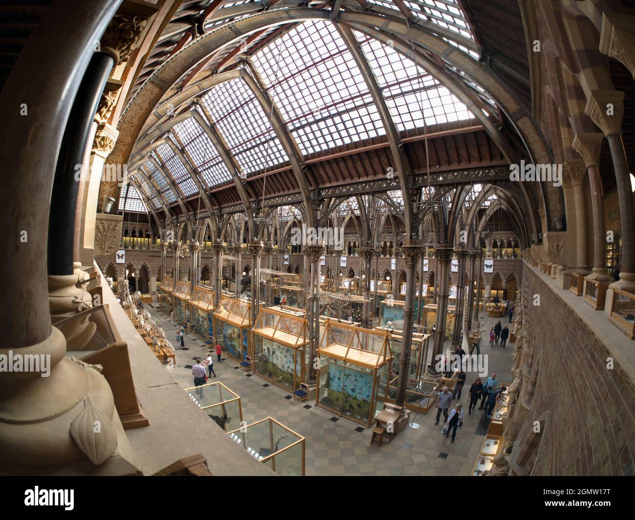 Oxford natural history museum ceiling hi-res stock photography and ...