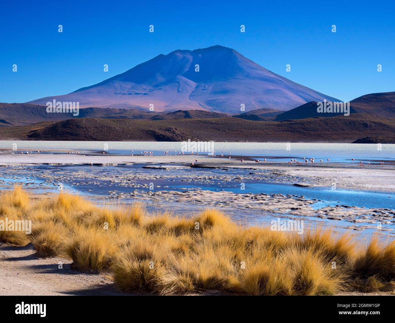Potosi , Bolivia - 24 May 2018 Laguna Hediona is a pretty salt lake ...