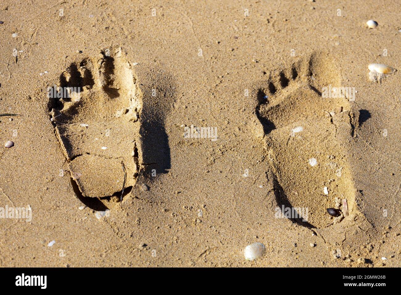 The Bay of Islands, New Zealand - 12 May 2012 Two left feet? Just how ...