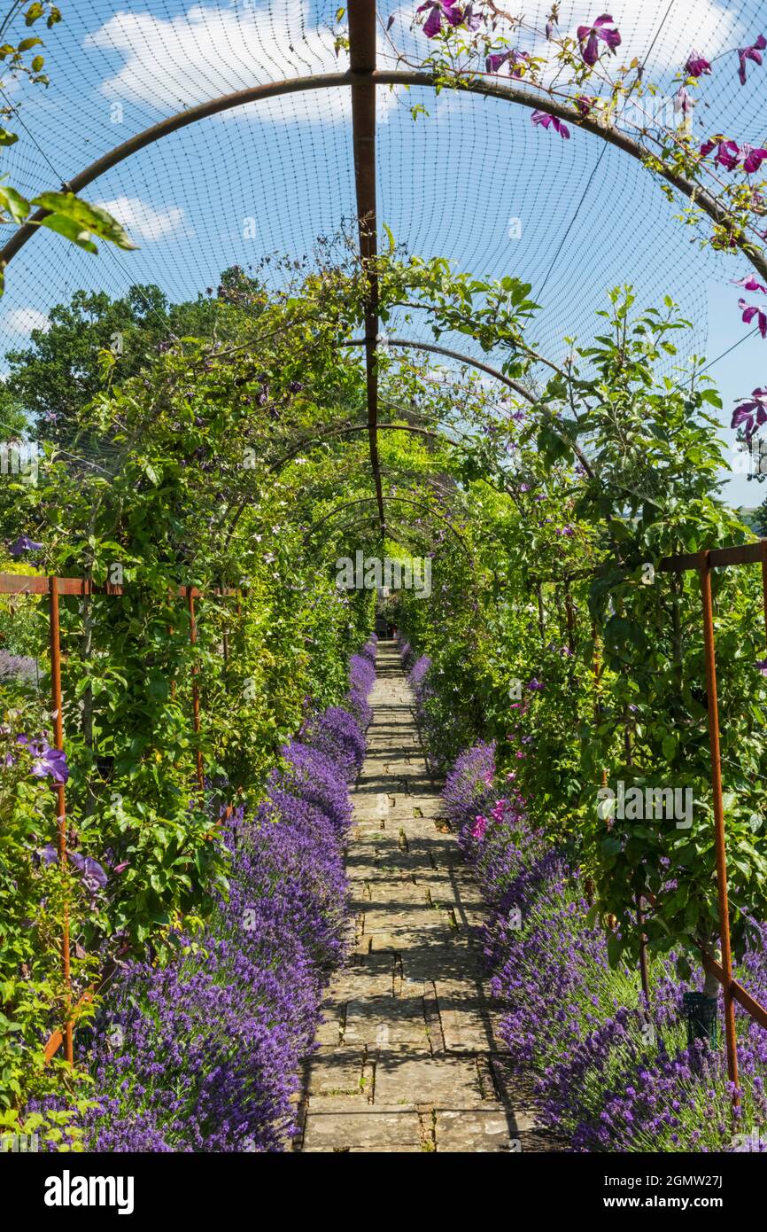 England, Hampshire, Test Valley, Stockbridge, Longstock, Leckford ...