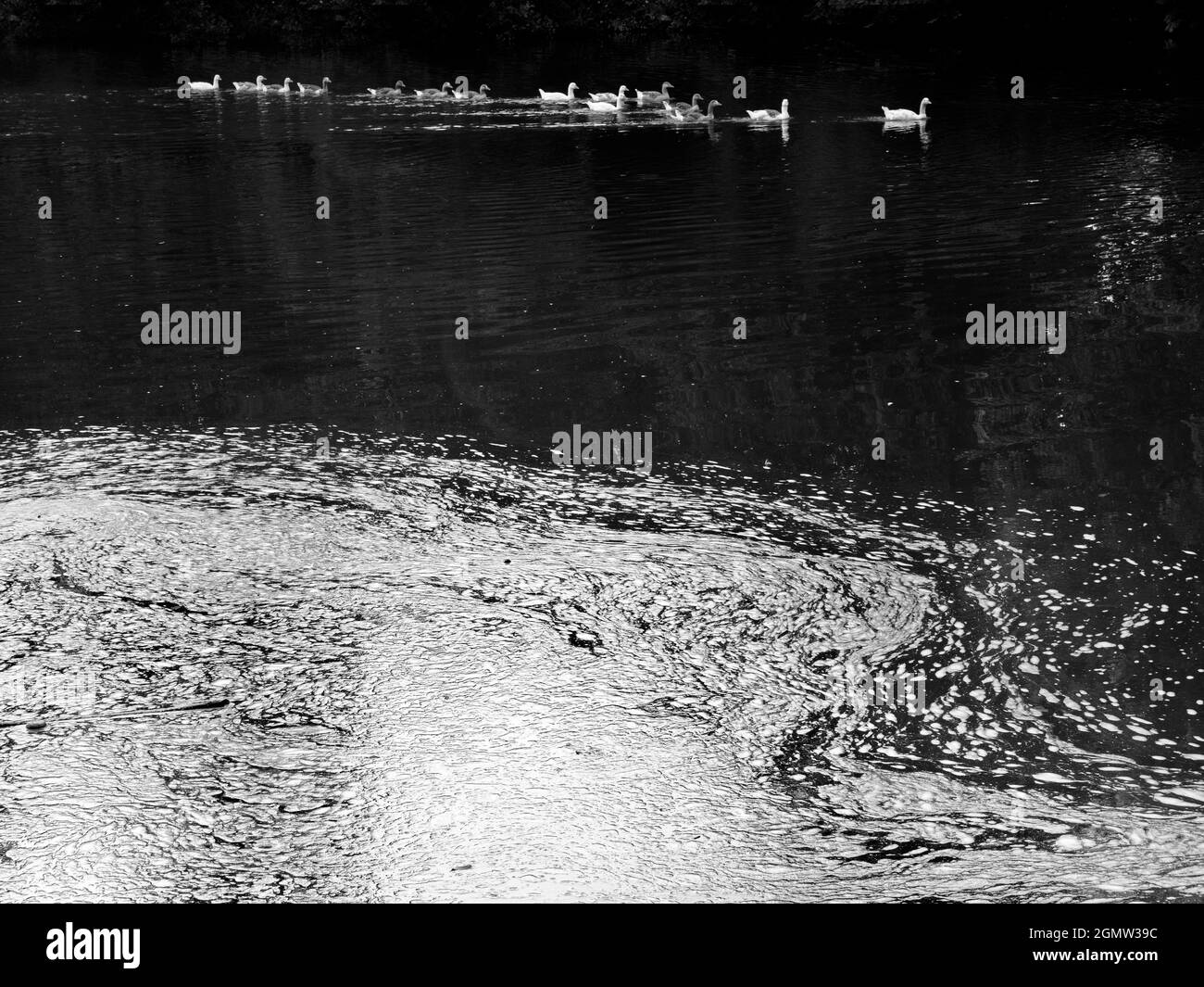 River looking upstream Black and White Stock Photos & Images - Alamy