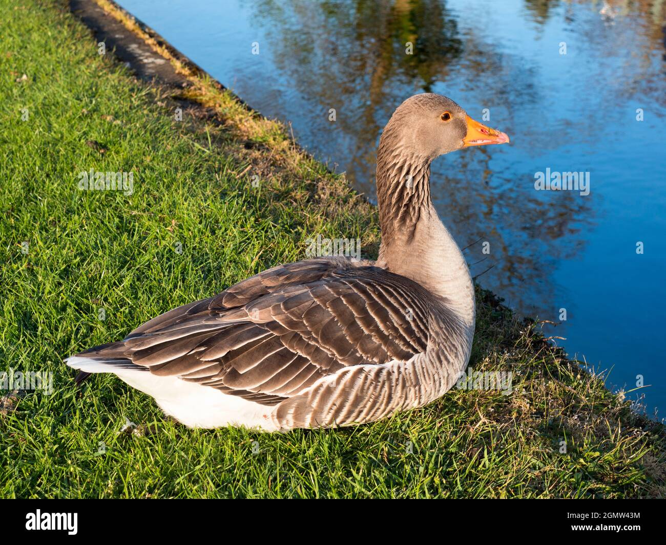 Thames bird eye view hi-res stock photography and images - Alamy