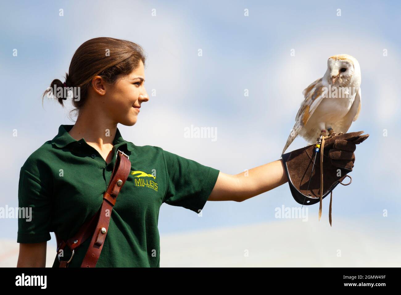 Frilford, Oxfordshire, United Kingdom - 2013; Magnificent raptor seen ...