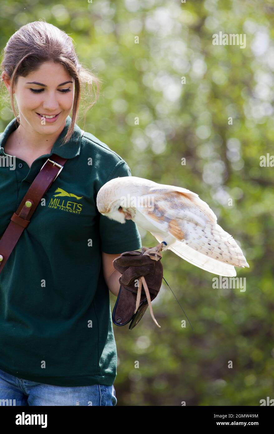 Frilford, Oxfordshire, United Kingdom - 2013; Magnificent raptor seen ...