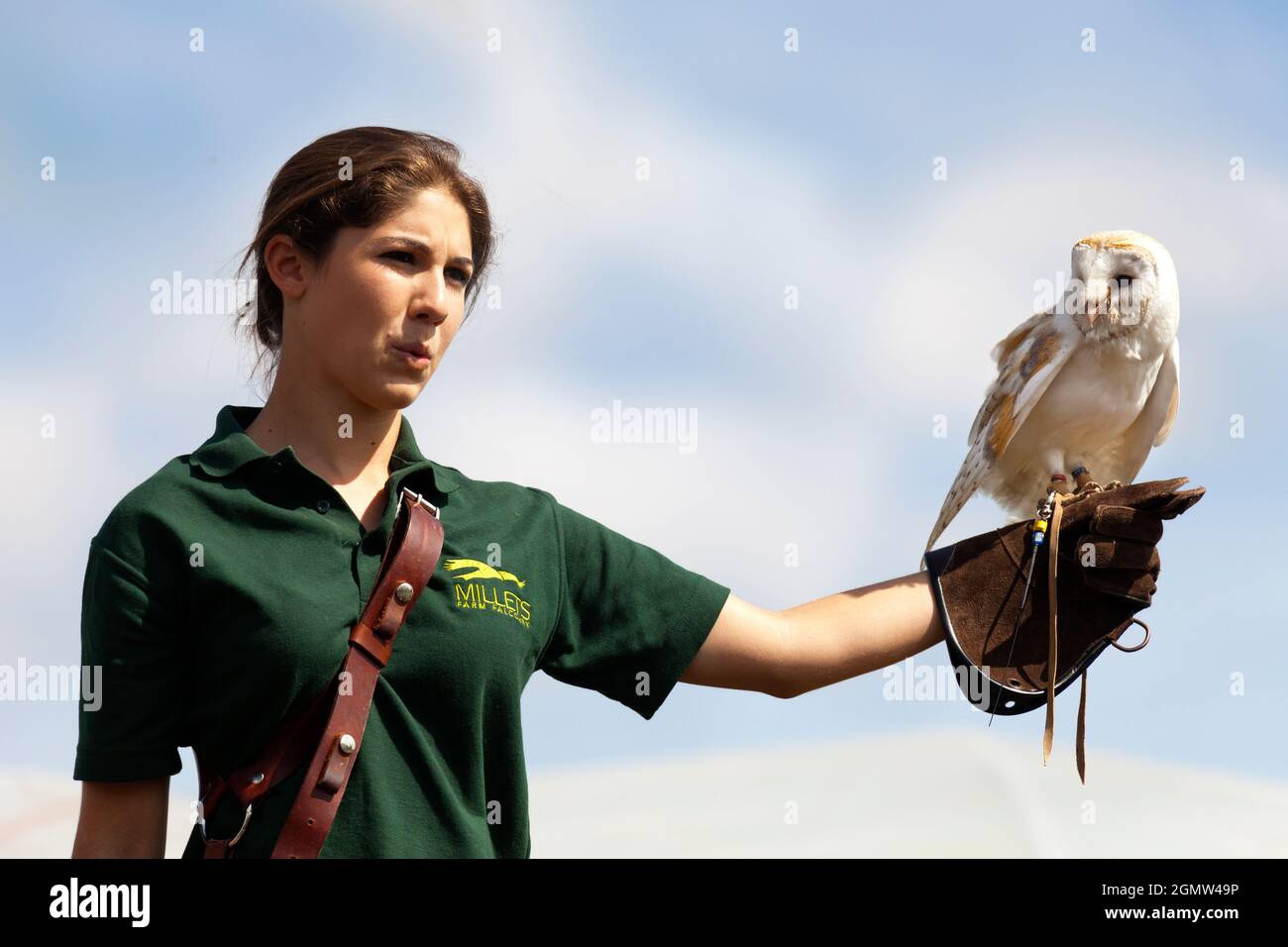 Frilford, Oxfordshire, United Kingdom - 2013; Magnificent raptor seen ...
