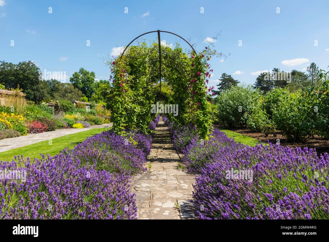 England, Hampshire, Test Valley, Stockbridge, Longstock, Leckford ...