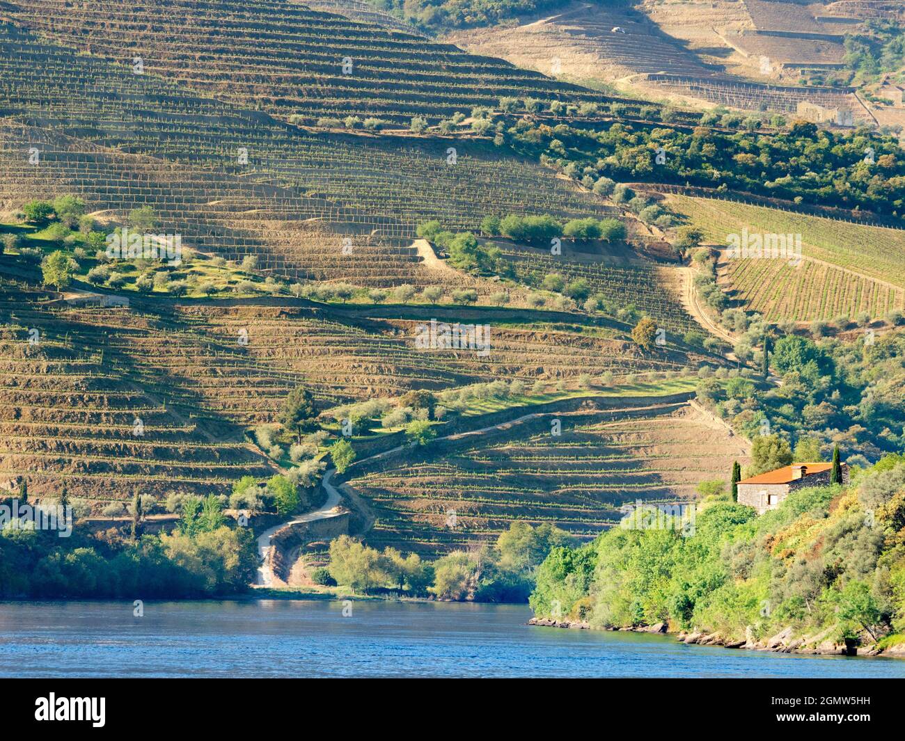 Douro Valley, Portugal - 12 April 2017 The scenic Douro Valley, which ...