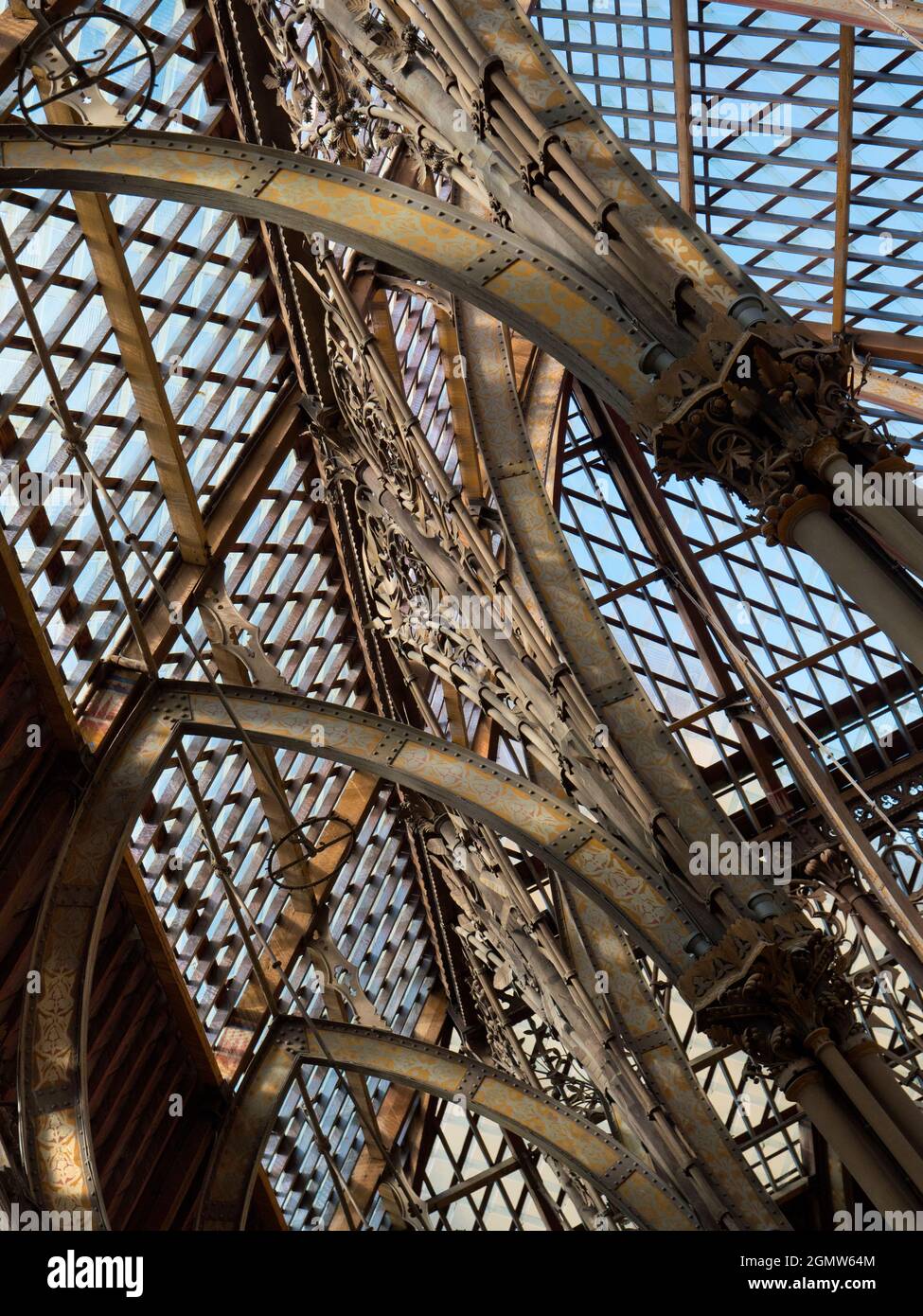 Dinosaur bones fossils hi-res stock photography and images - Alamy