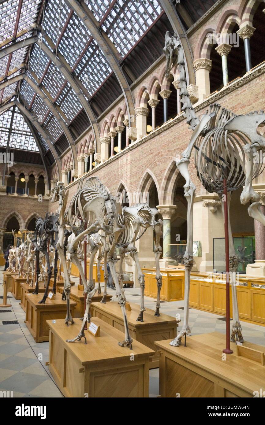 Oxford, England - 2014; The Pitt Rivers Museum is a museum displaying ...