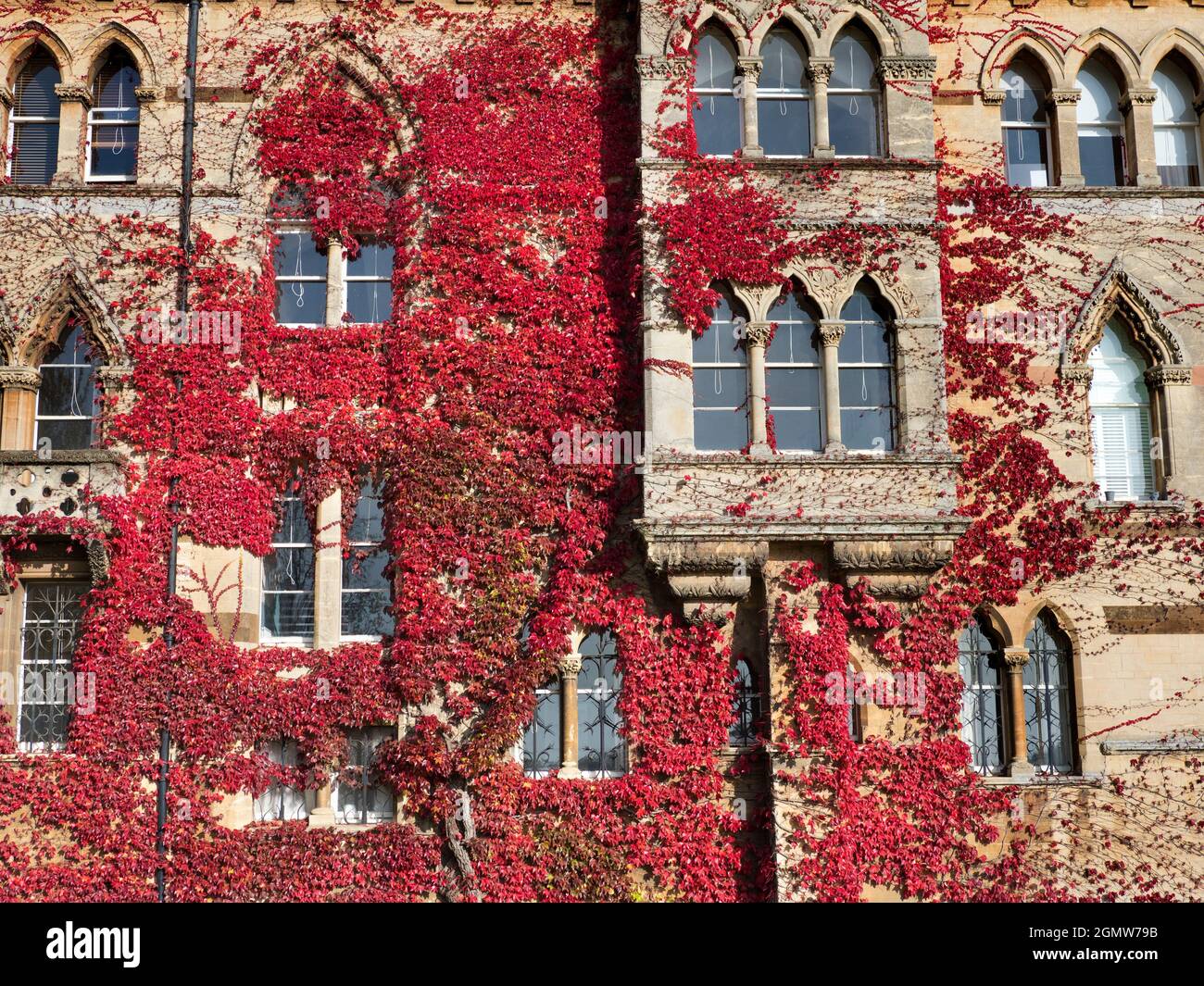 Founded in 1525 by Thomas Wolsey, Lord Chancellor of England, Christ ...