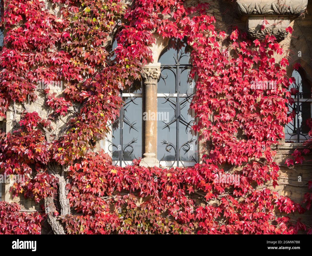 Founded in 1525 by Thomas Wolsey, Lord Chancellor of England, Christ ...