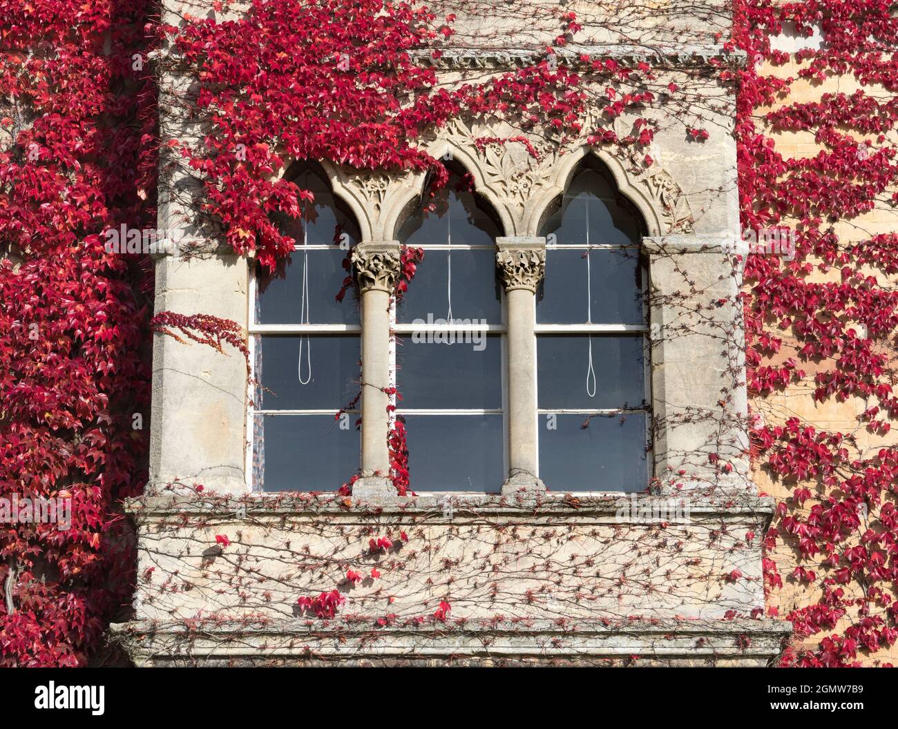 Founded in 1525 by Thomas Wolsey, Lord Chancellor of England, Christ ...
