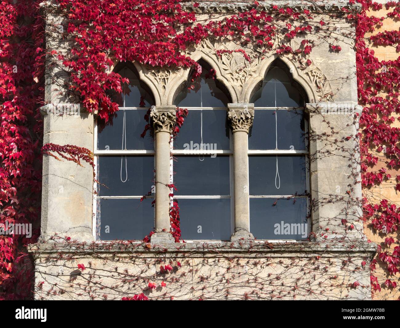 Founded in 1525 by Thomas Wolsey, Lord Chancellor of England, Christ ...