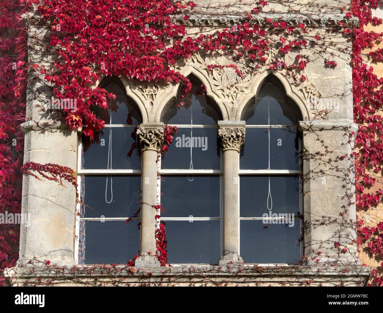 Founded in 1525 by Thomas Wolsey, Lord Chancellor of England, Christ ...