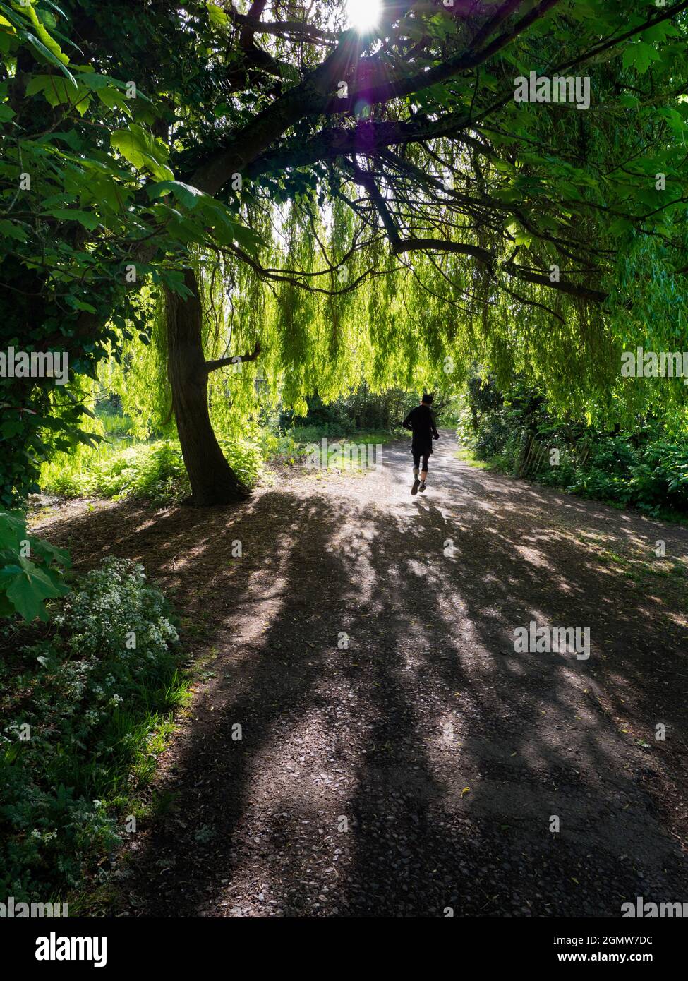 Abingdon, England - 4 May 2019; one man in shot. This beautiful ...