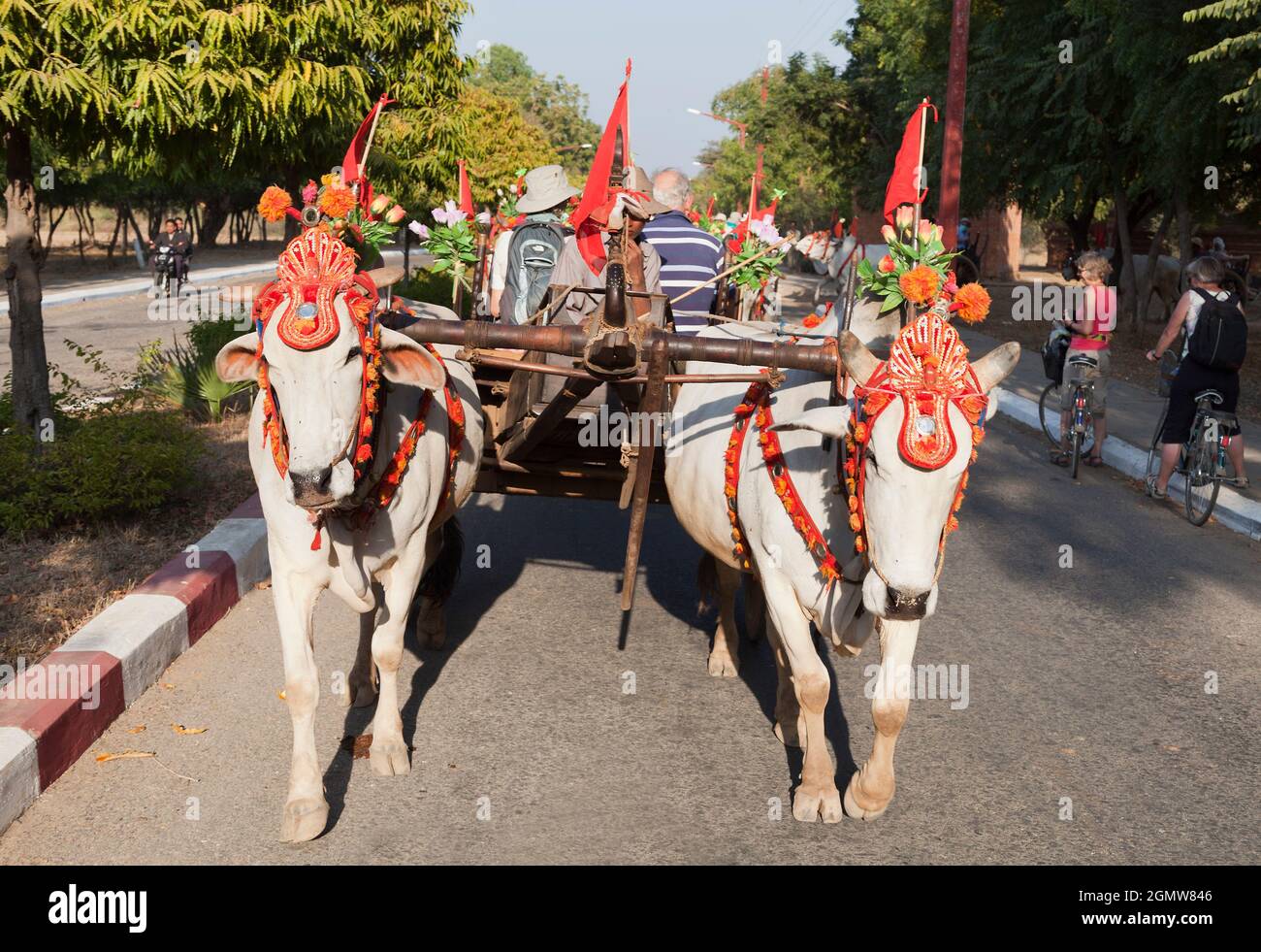 Bullocks pulling cart hi-res stock photography and images - Alamy