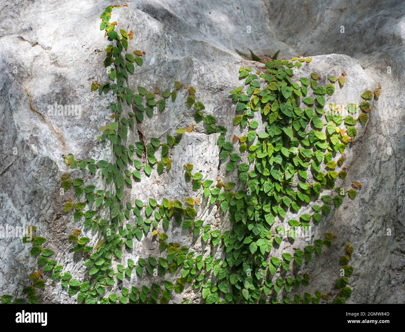 Sheer rock hi-res stock photography and images - Alamy