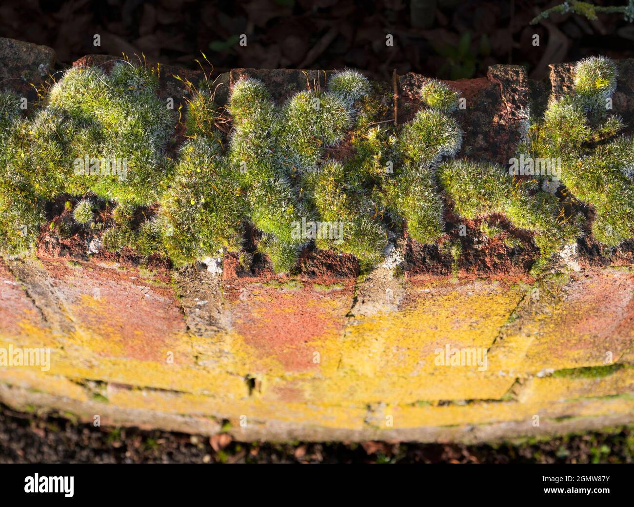 Radley Oxfordshire Oxfordshire High Resolution Stock Photography and ...