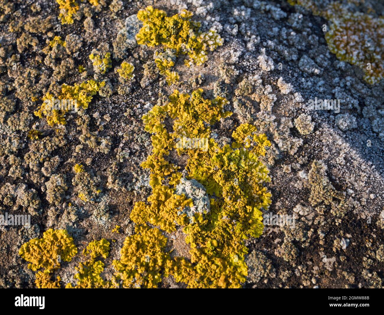 Radley, Oxfordshire, England - 7 February 2020 You can find abstract ...